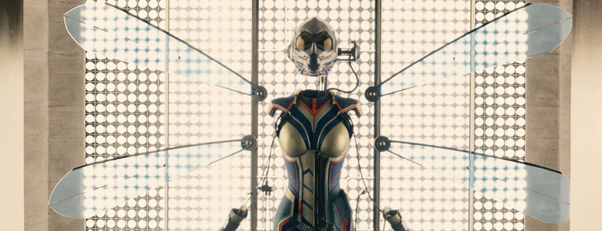 wasp-costume-pic - Multiverse Of Color